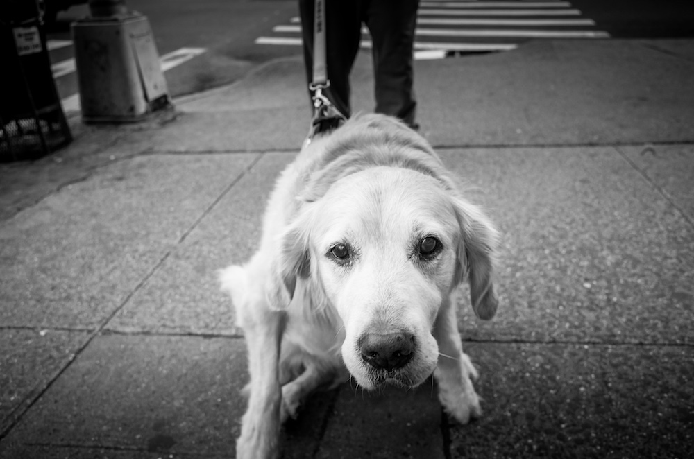 Photography Theme for Competition - 8 Great Competition Theme Ideas