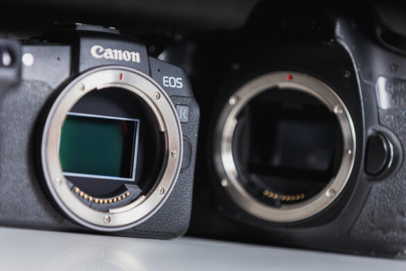 Camera EVF - Is It Better Than OVF, And Why?