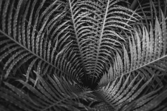 Pattern Photography - How To Use Patterns For Better Photos